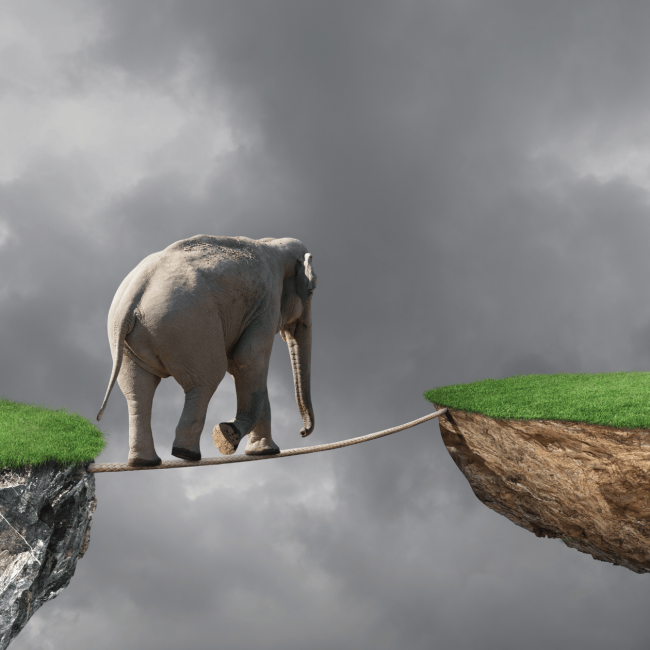 Building a Paradox Mindset - Adaptive Paradox Leadership™ - Adaptive ...